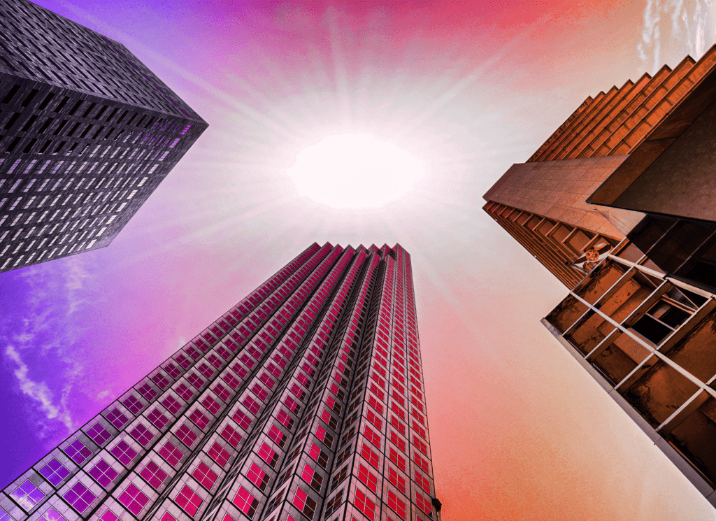 Graphic Design - Paradox Media